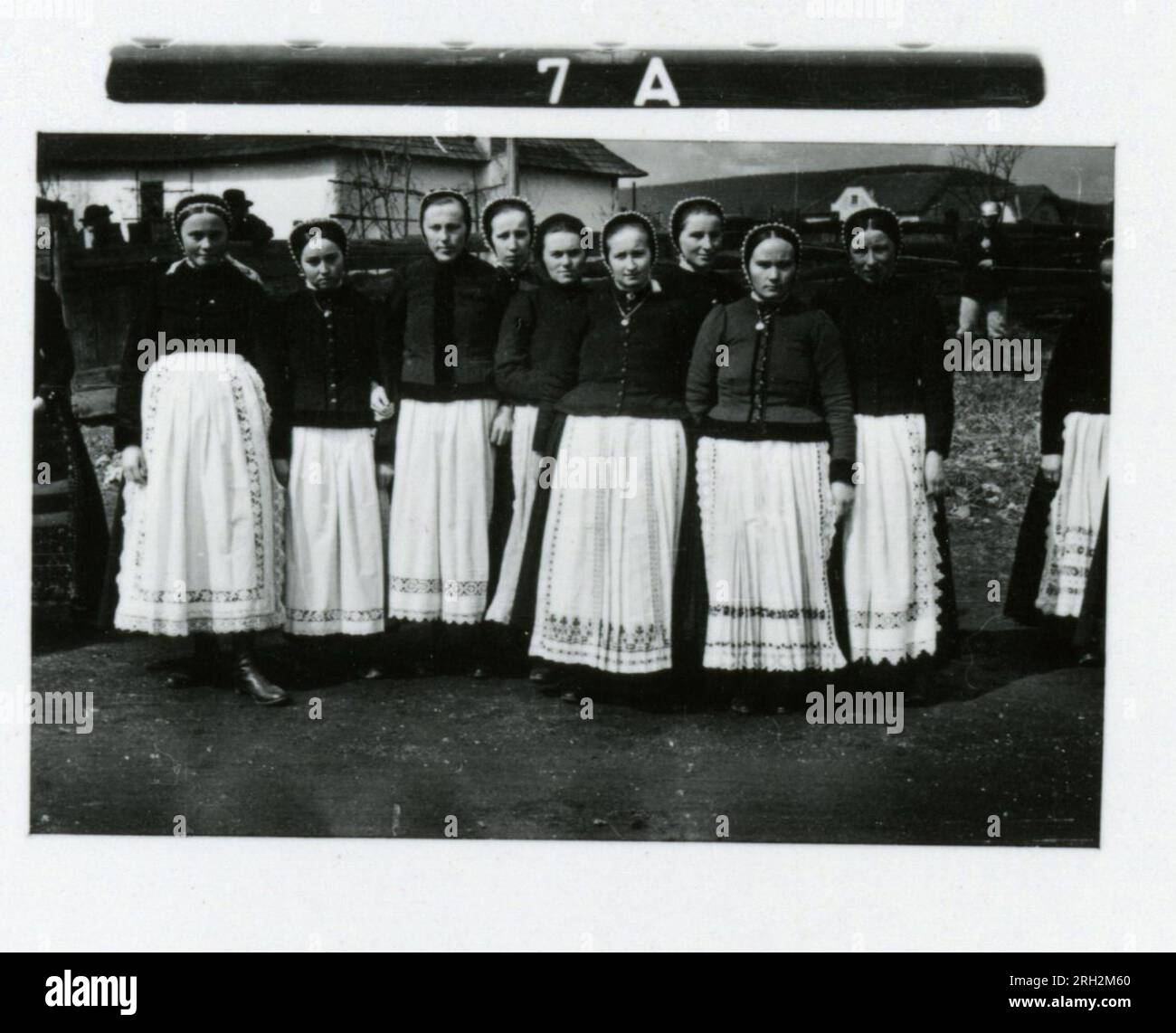 SS Photographer, Fritsch, Romania, Kavallerie, Russia 1943-44 Romanian ...
