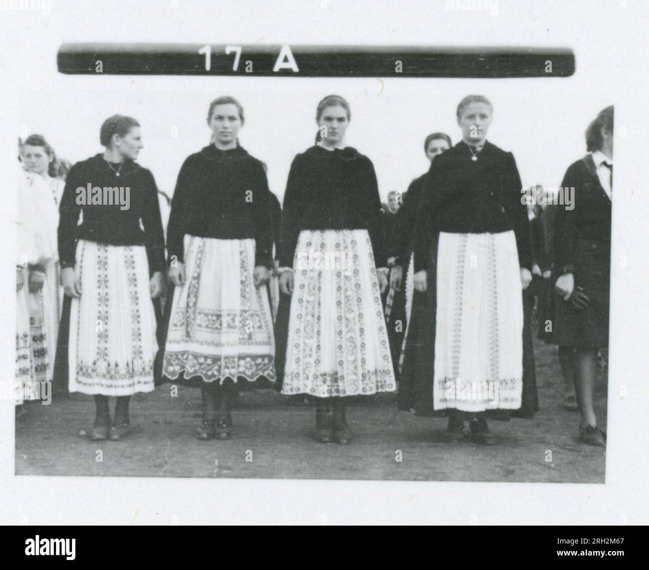 SS Photographer, Fritsch, Romania, Kavallerie, Russia 1943-44 Romanian ...