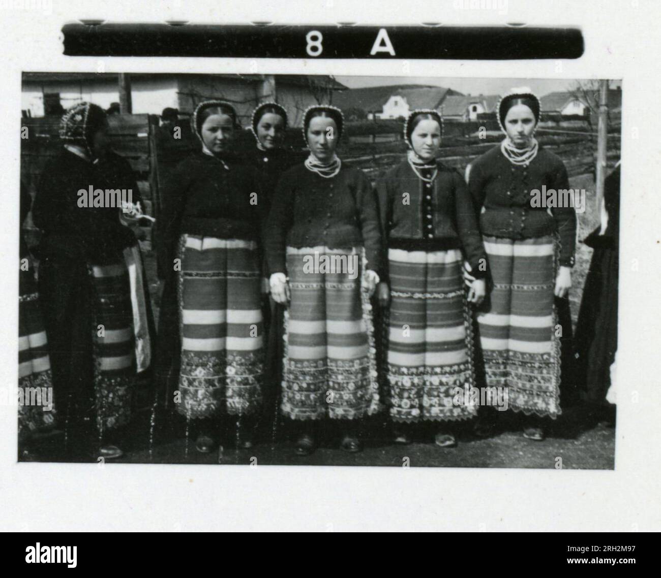 SS Photographer, Fritsch, Romania, Kavallerie, Russia 1943-44 Romanian ...