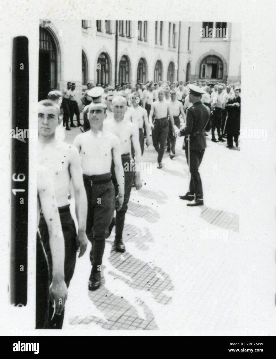 SS Photographer, Fritsch, Romania, Kavallerie, Russia 1943-44 Romanian ...