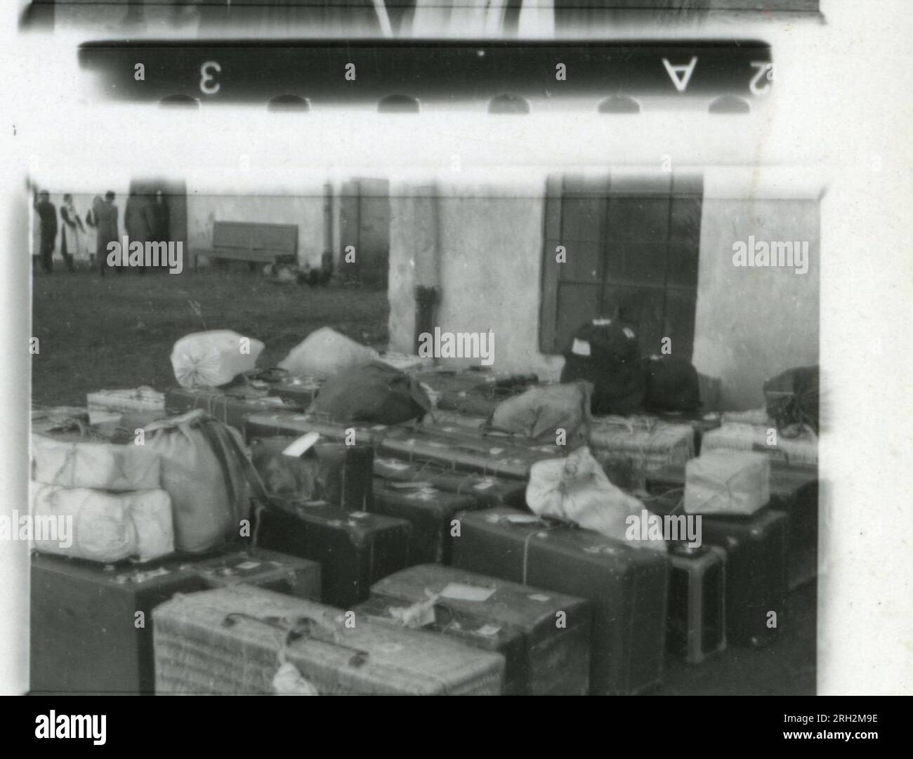 SS Photographer, Fritsch, Romania, Kavallerie, Russia 1943-44 Romanian ...