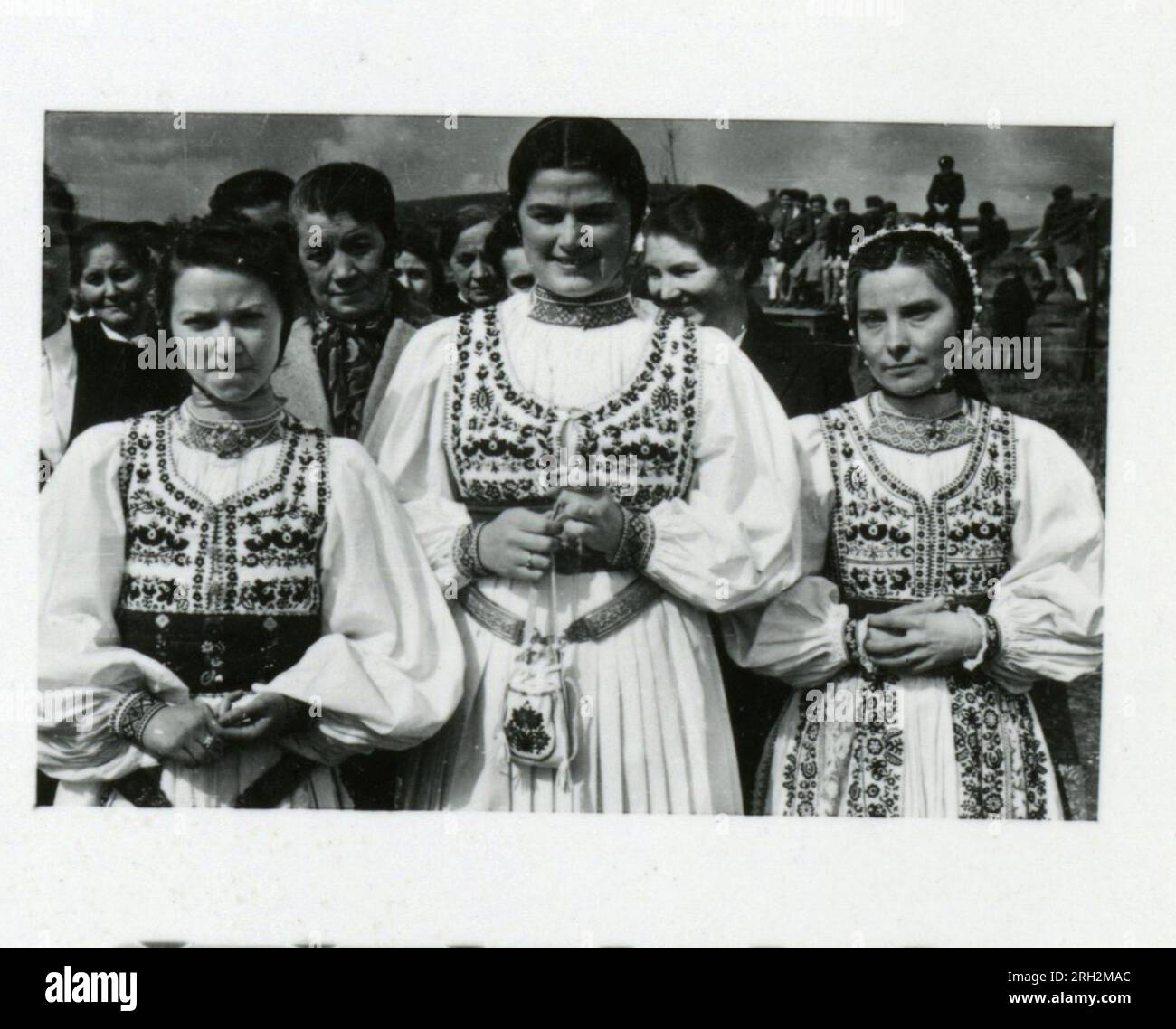 SS Photographer, Fritsch, Romania, Kavallerie, Russia 1943-44 Romanian ...