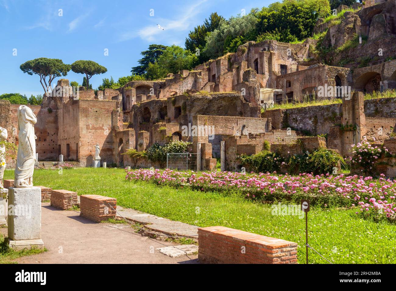 Palatine Hill view from Roman Forum in summer, Rome, Italy, Europe ...