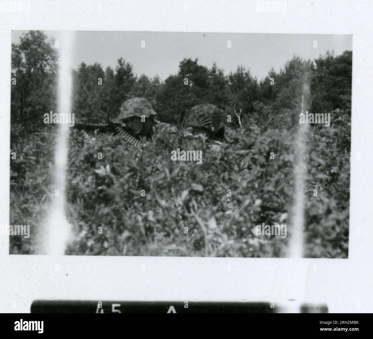 SS Photographer, Fritsch, Romania, Kavallerie, Russia 1943-44 Romanian ...