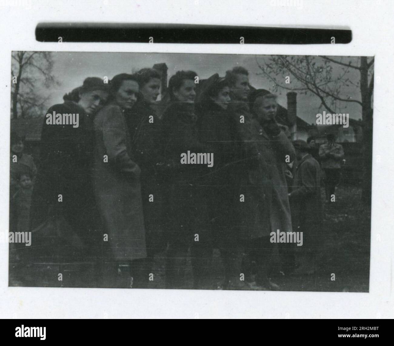 SS Photographer, Fritsch, Romania, Kavallerie, Russia 1943-44 Romanian ...