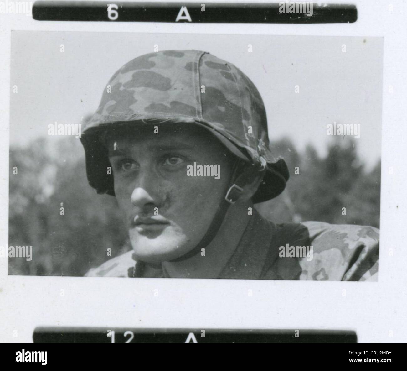 SS Photographer, Fritsch, Romania, Kavallerie, Russia 1943-44 Romanian ...