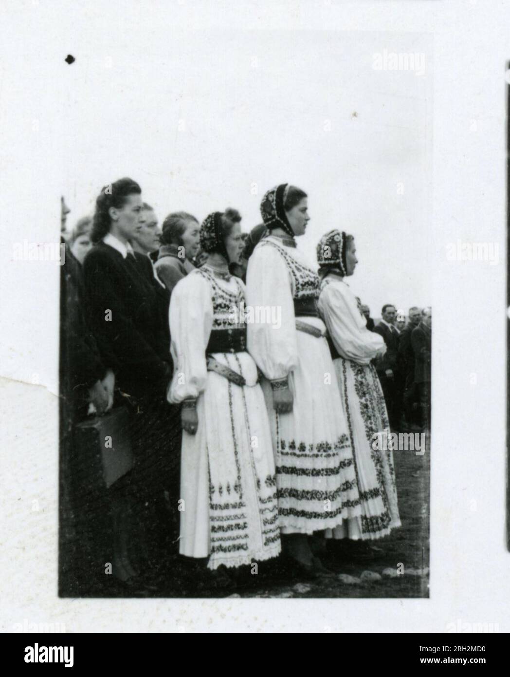 SS Photographer, Fritsch, Romania, Kavallerie, Russia 1943-44 Romanian ...