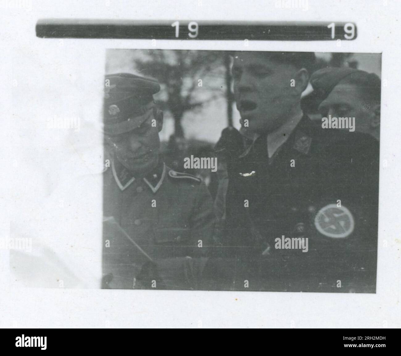 SS Photographer, Fritsch, Romania, Kavallerie, Russia 1943-44 Romanian ...