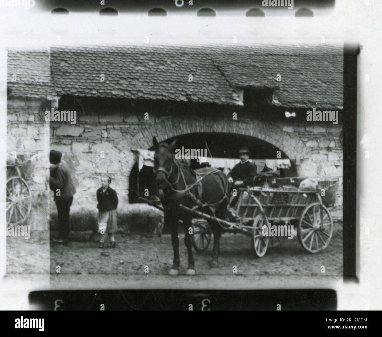 SS Photographer, Fritsch, Romania, Kavallerie, Russia 1943-44 Romanian ...