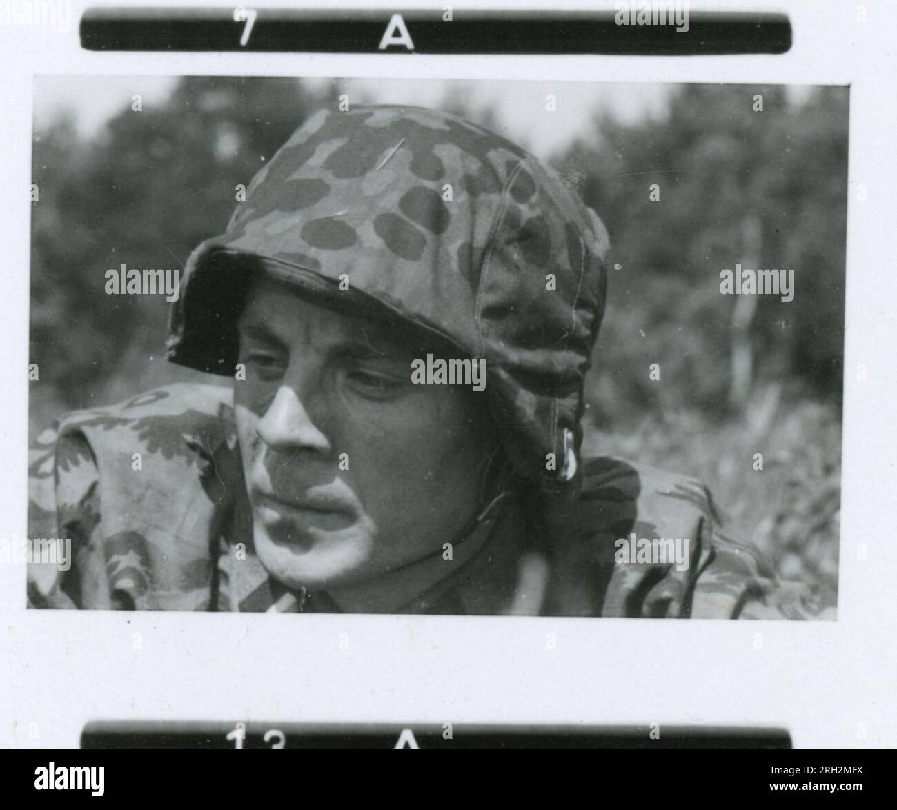 SS Photographer, Fritsch, Romania, Kavallerie, Russia 1943-44 Romanian ...