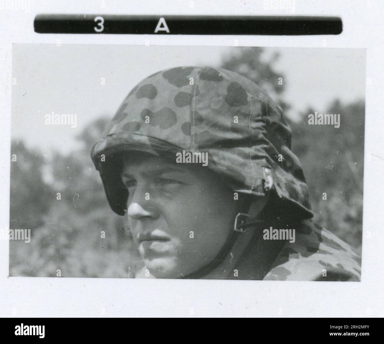 SS Photographer, Fritsch, Romania, Kavallerie, Russia 1943-44 Romanian ...