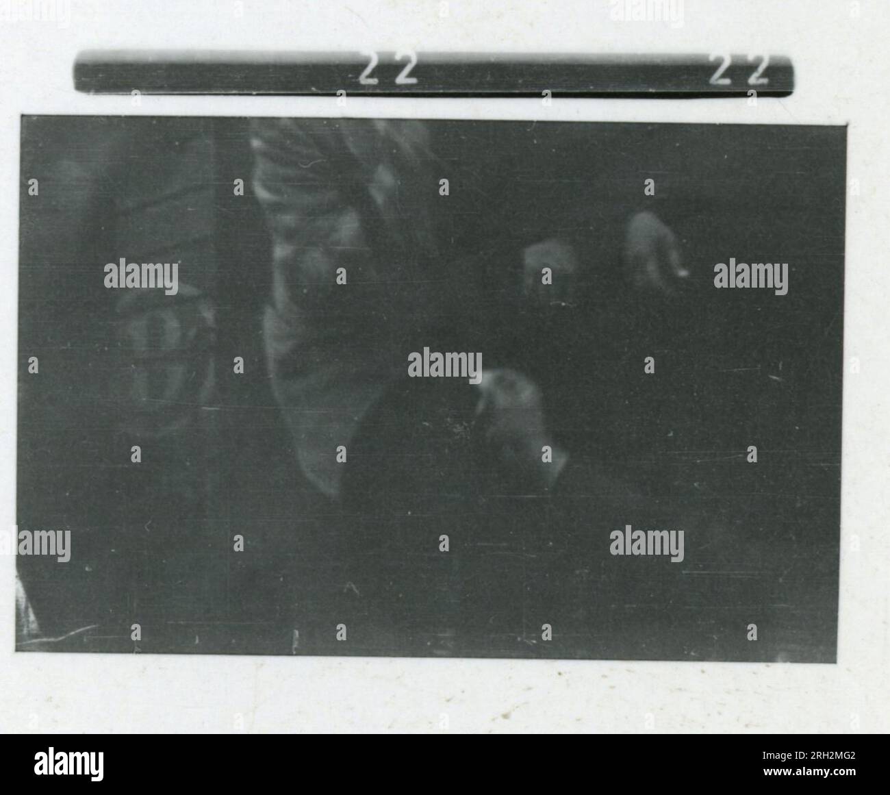 SS Photographer, Fritsch, Romania, Kavallerie, Russia 1943-44 Romanian ...