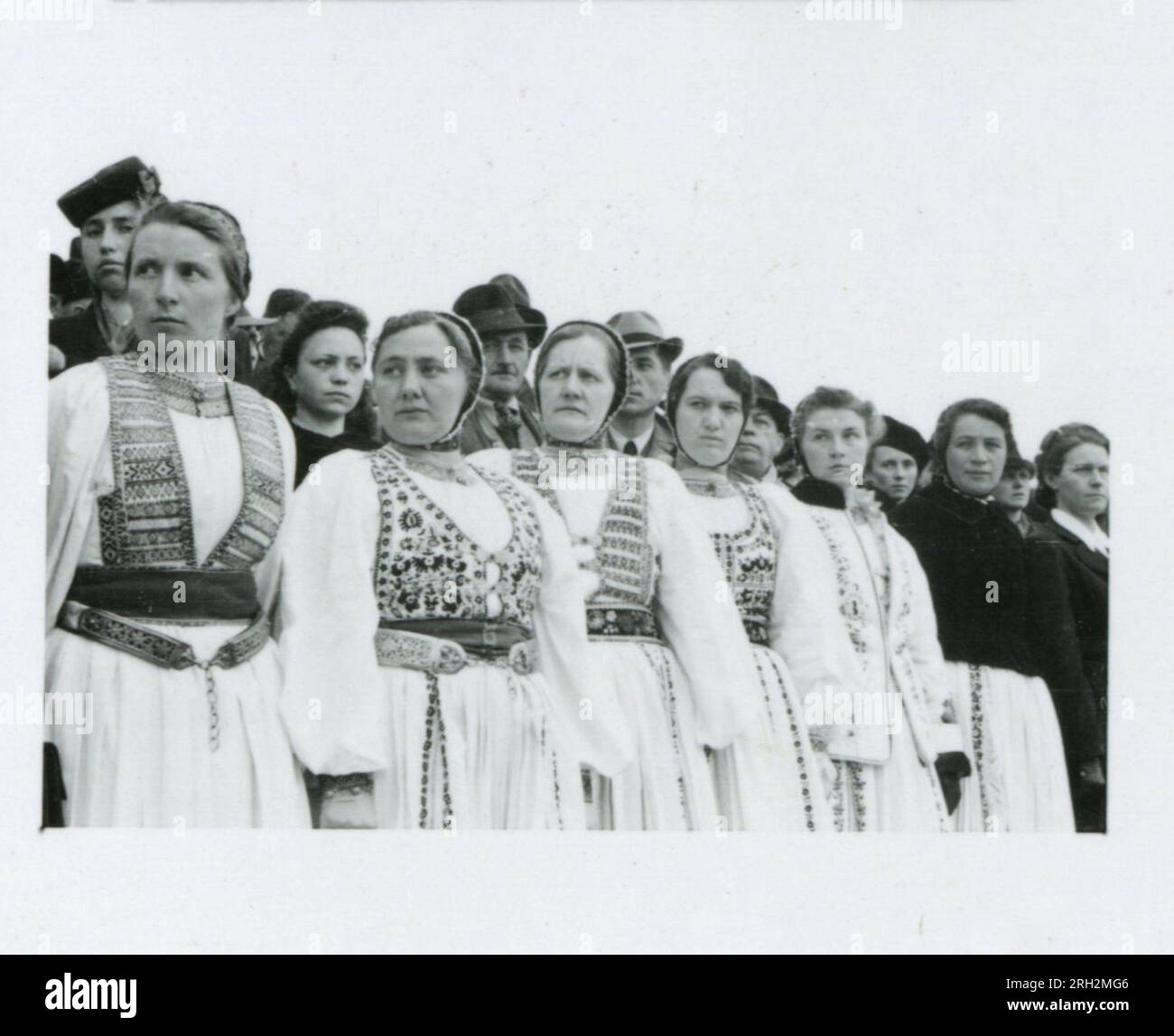 SS Photographer, Fritsch, Romania, Kavallerie, Russia 1943-44 Romanian ...