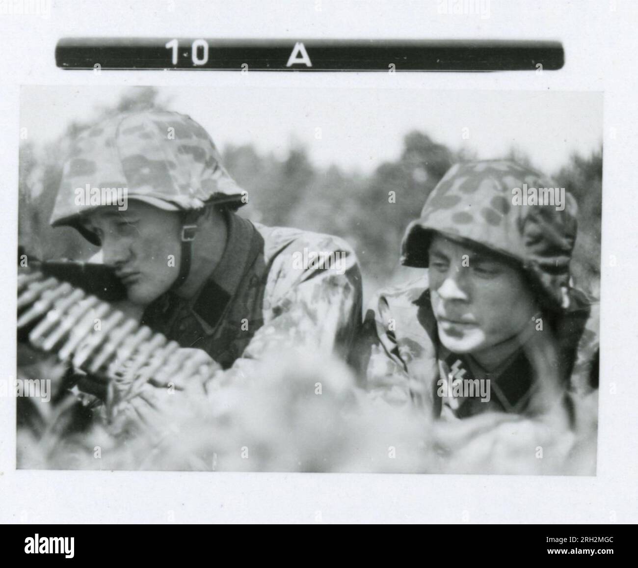 SS Photographer, Fritsch, Romania, Kavallerie, Russia 1943-44 Romanian ...