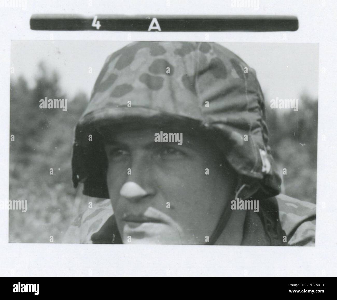 SS Photographer, Fritsch, Romania, Kavallerie, Russia 1943-44 Romanian ...