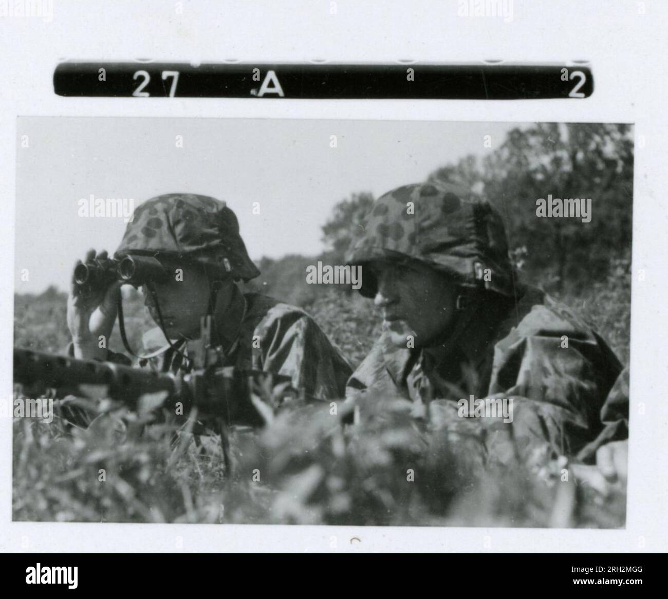 SS Photographer, Fritsch, Romania, Kavallerie, Russia 1943-44 Romanian ...