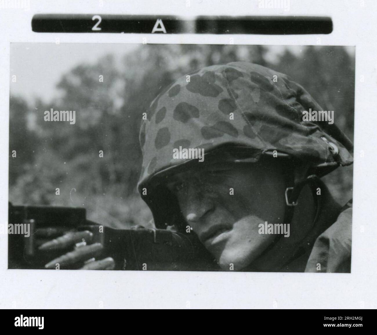 SS Photographer, Fritsch, Romania, Kavallerie, Russia 1943-44 Romanian ...