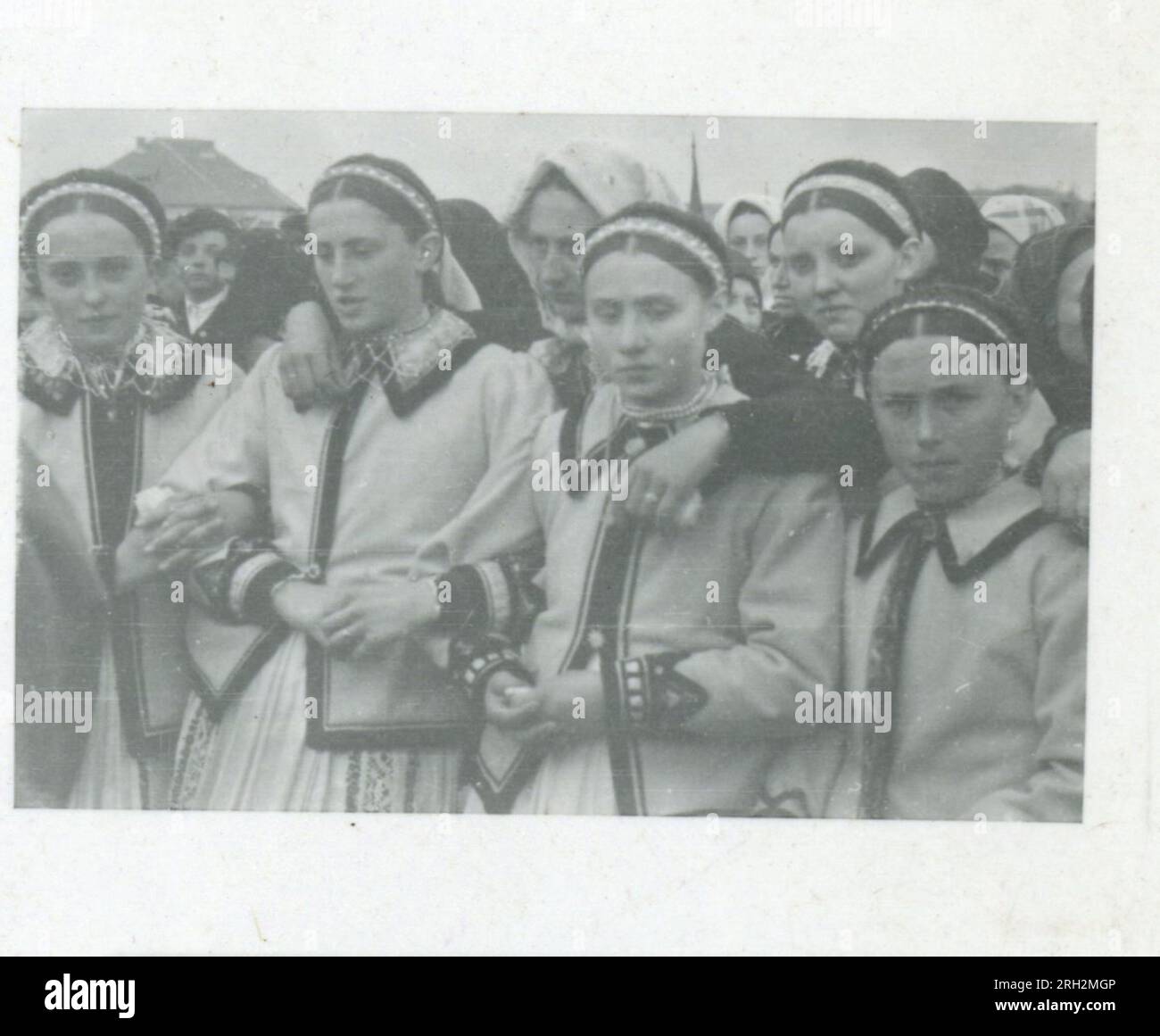SS Photographer, Fritsch, Romania, Kavallerie, Russia 1943-44 Romanian ...