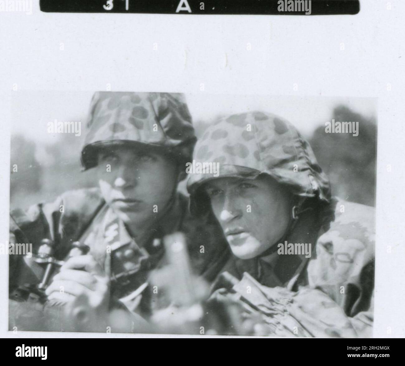 SS Photographer, Fritsch, Romania, Kavallerie, Russia 1943-44 Romanian ...