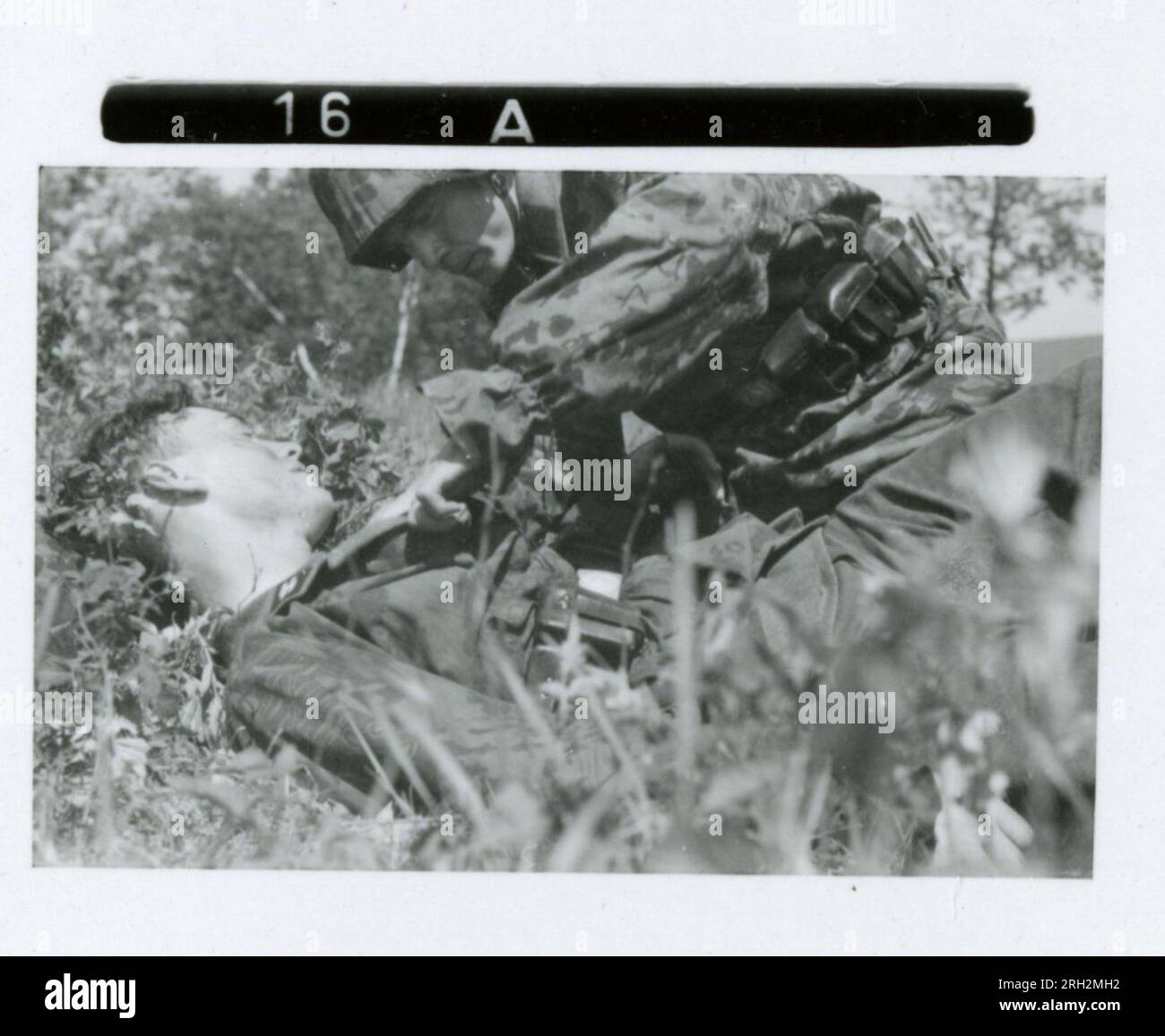 SS Photographer, Fritsch, Romania, Kavallerie, Russia 1943-44 Romanian ...