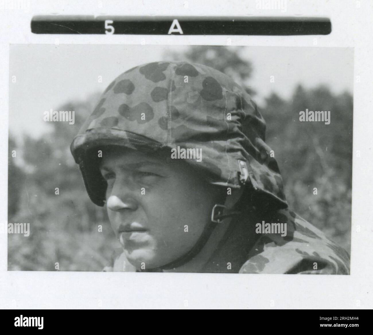 SS Photographer, Fritsch, Romania, Kavallerie, Russia 1943-44 Romanian ...