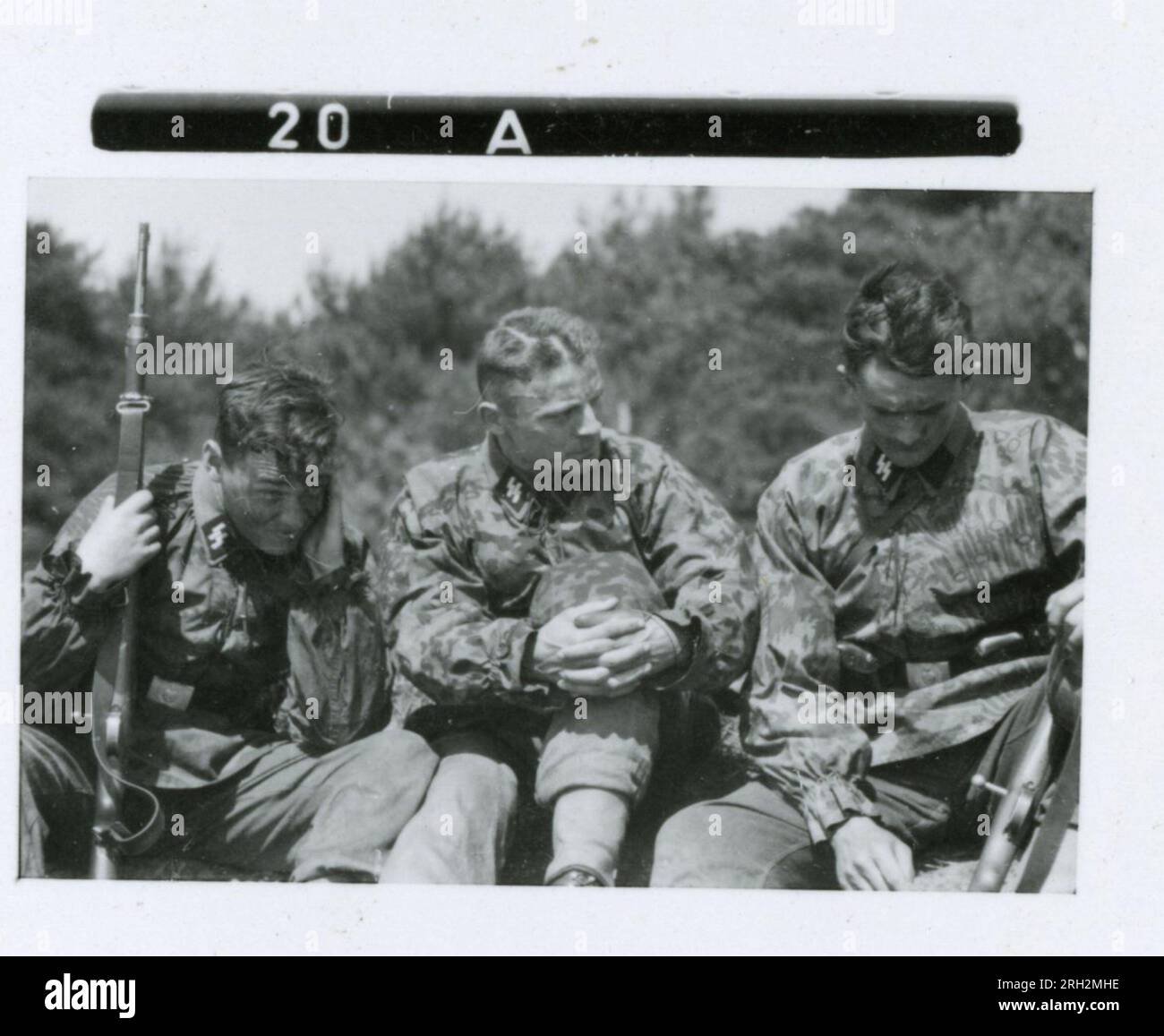 SS Photographer, Fritsch, Romania, Kavallerie, Russia 1943-44 Romanian ...