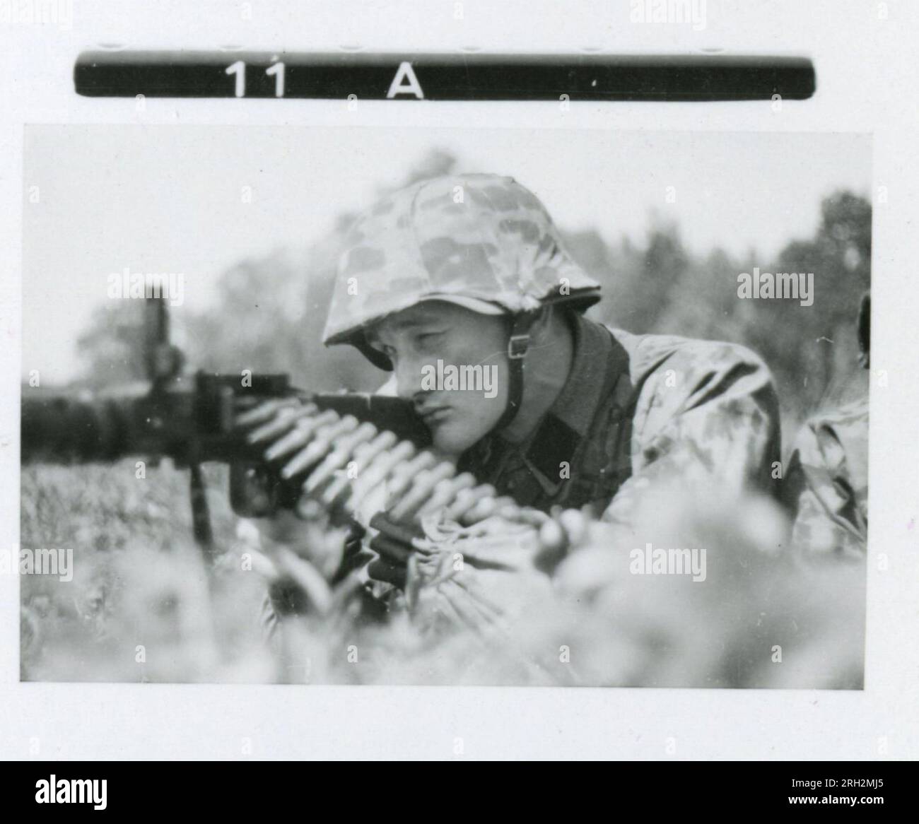 SS Photographer, Fritsch, Romania, Kavallerie, Russia 1943-44 Romanian ...