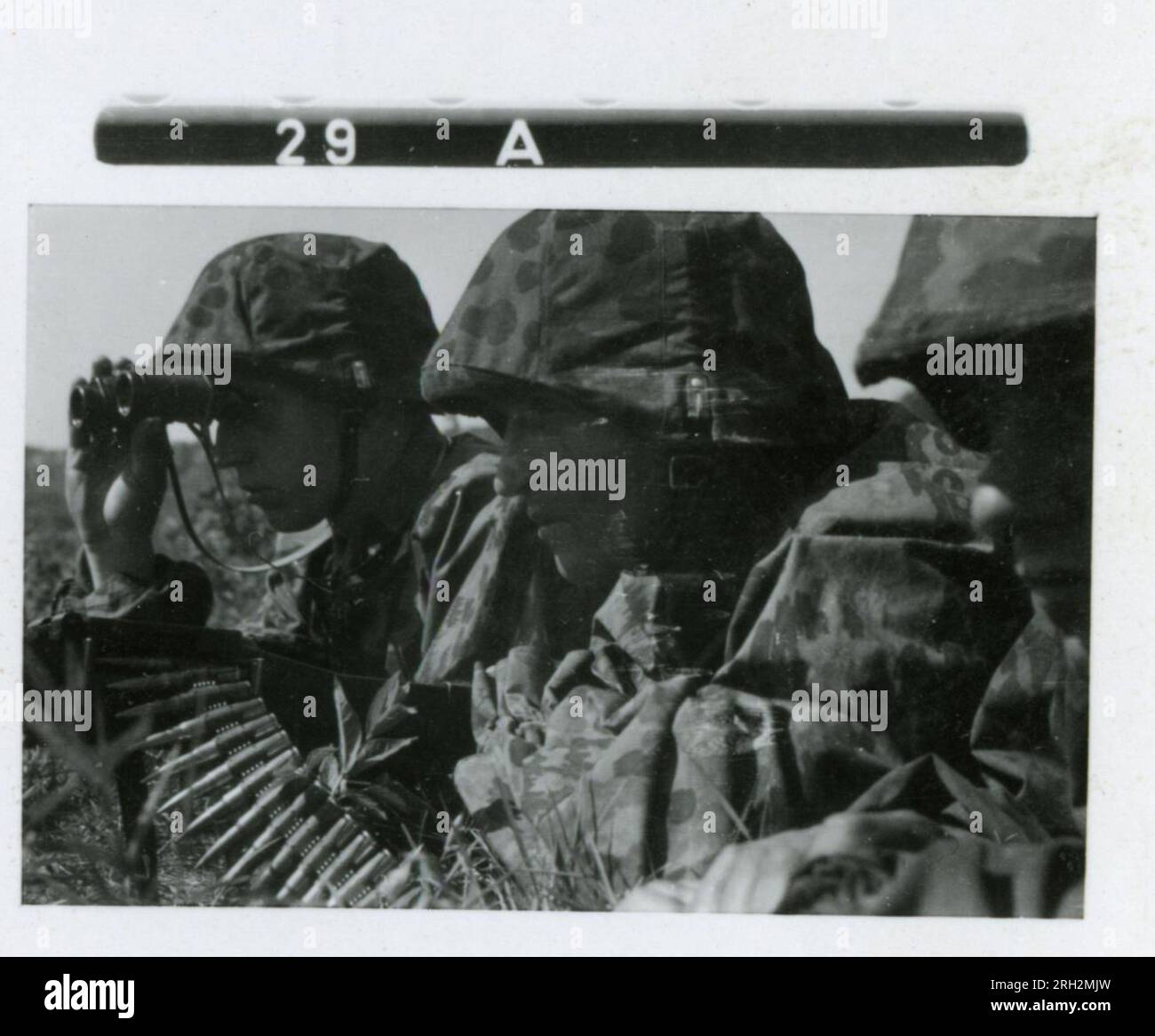 SS Photographer, Fritsch, Romania, Kavallerie, Russia 1943-44 Romanian ...