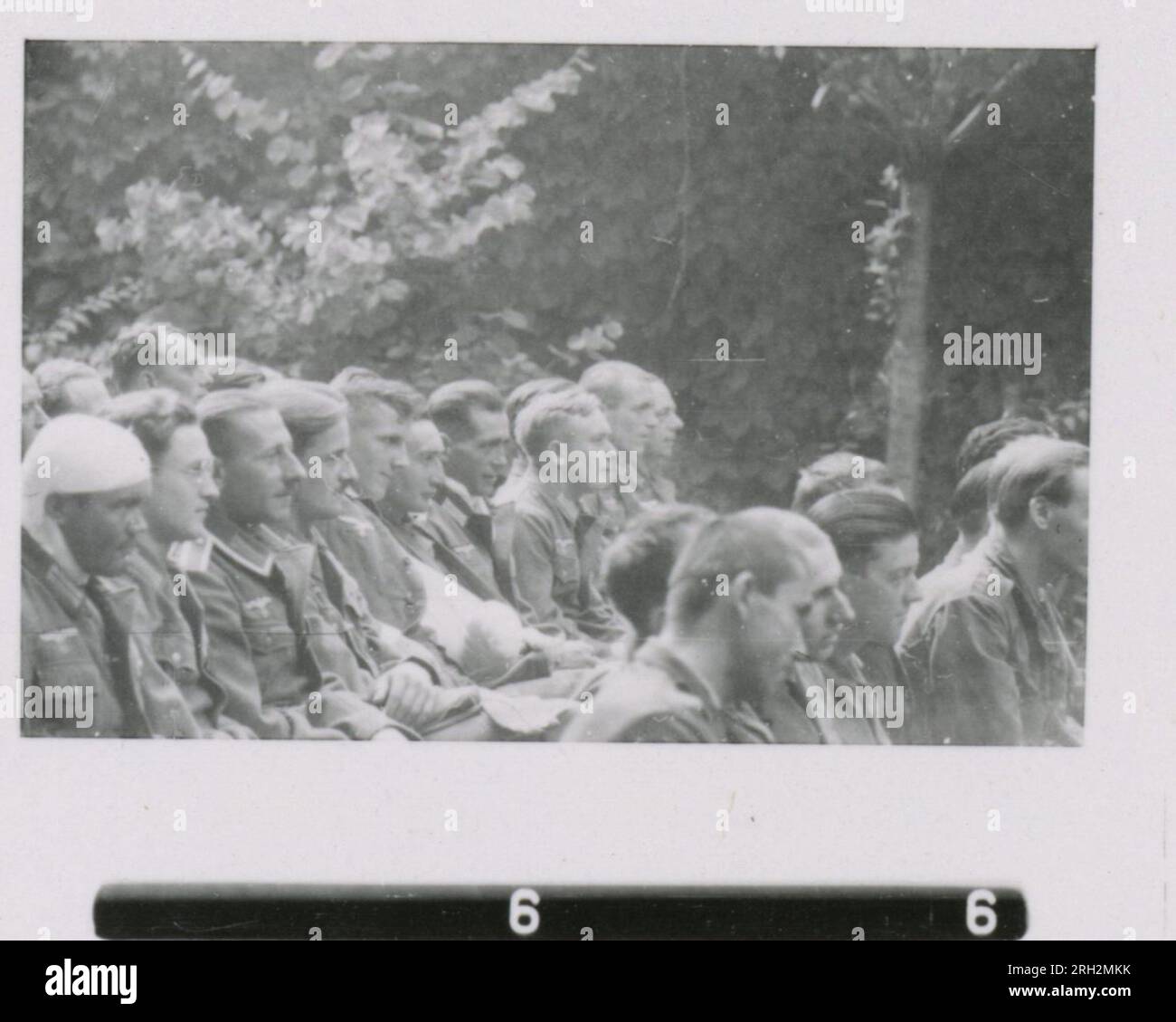 SS Photographer, Fritsch, Romania, Kavallerie, Russia 1943-44 Romanian ...
