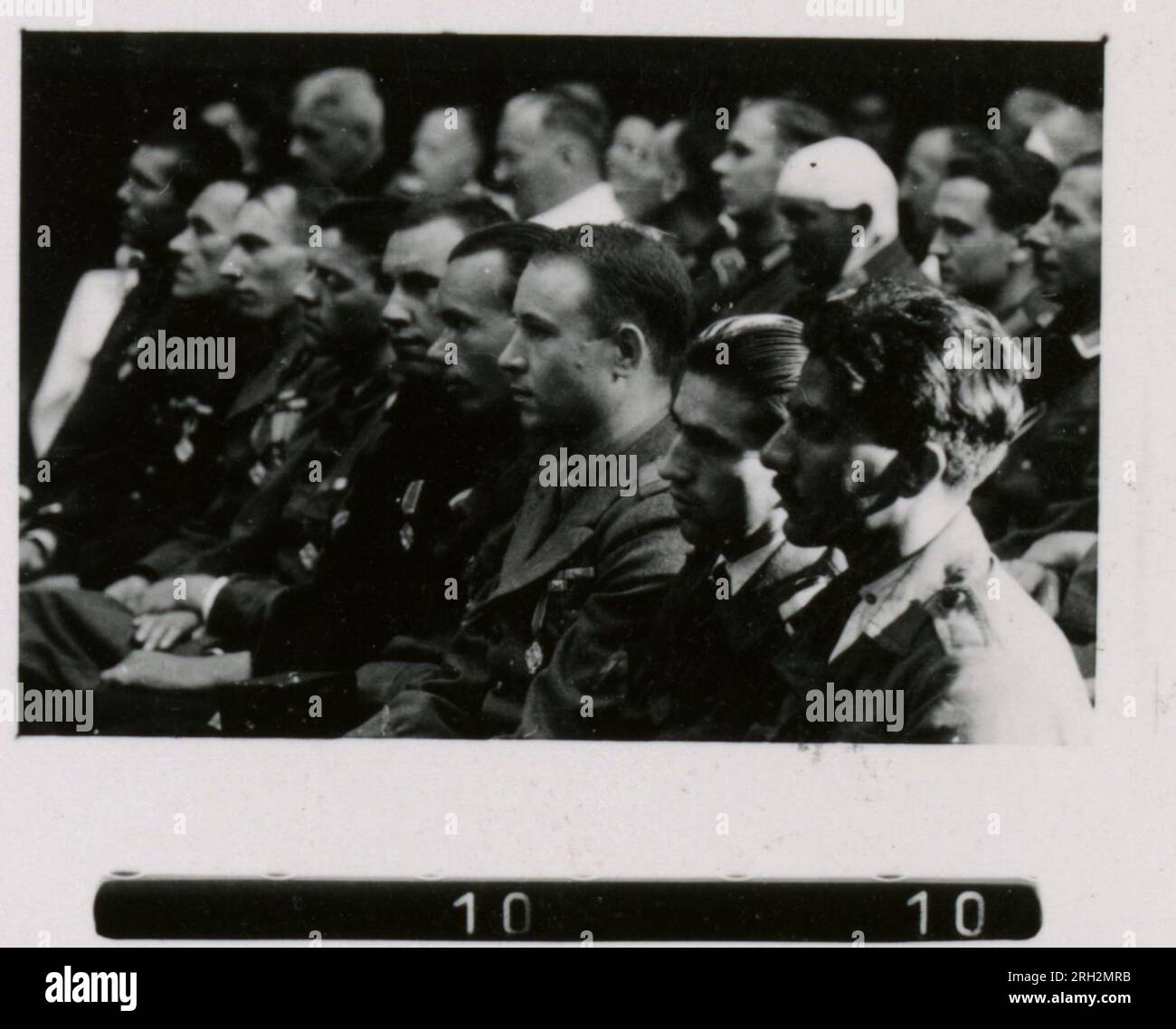 SS Photographer, Fritsch, Romania, Kavallerie, Russia 1943-44 Romanian ...