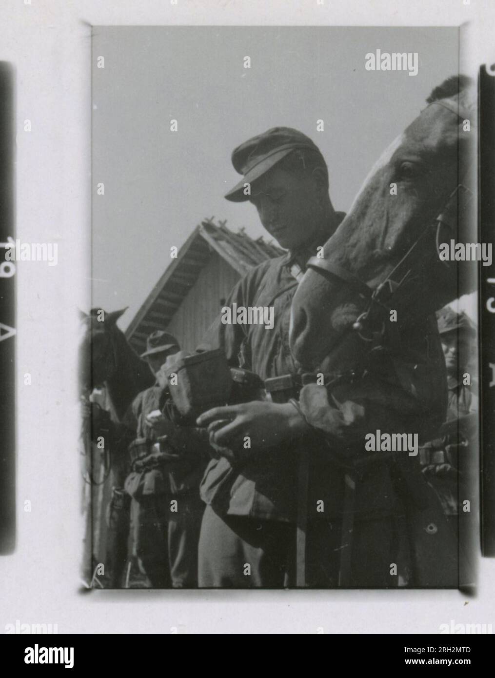 SS Photographer, Fritsch, Romania, Kavallerie, Russia 1943-44 Romanian ...