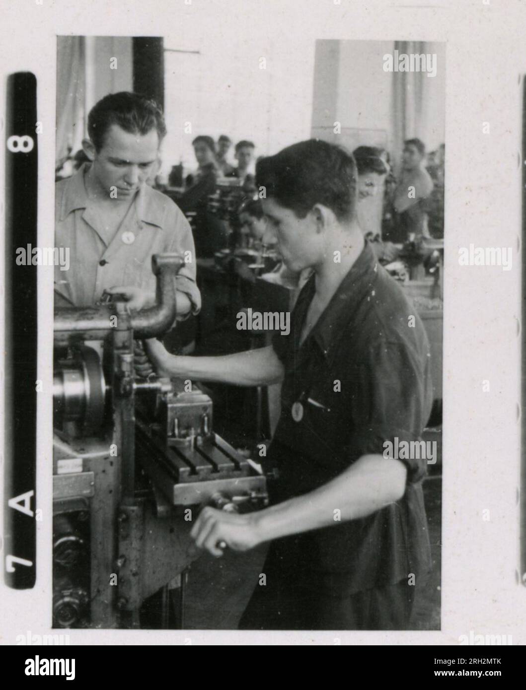 SS Photographer, Fritsch, Romania, Kavallerie, Russia 1943-44 Romanian ...