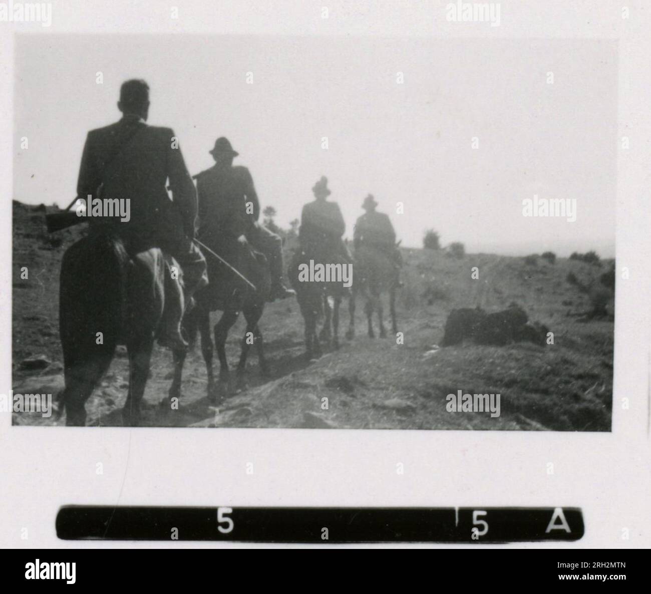 SS Photographer, Fritsch, Romania, Kavallerie, Russia 1943-44 Romanian ...