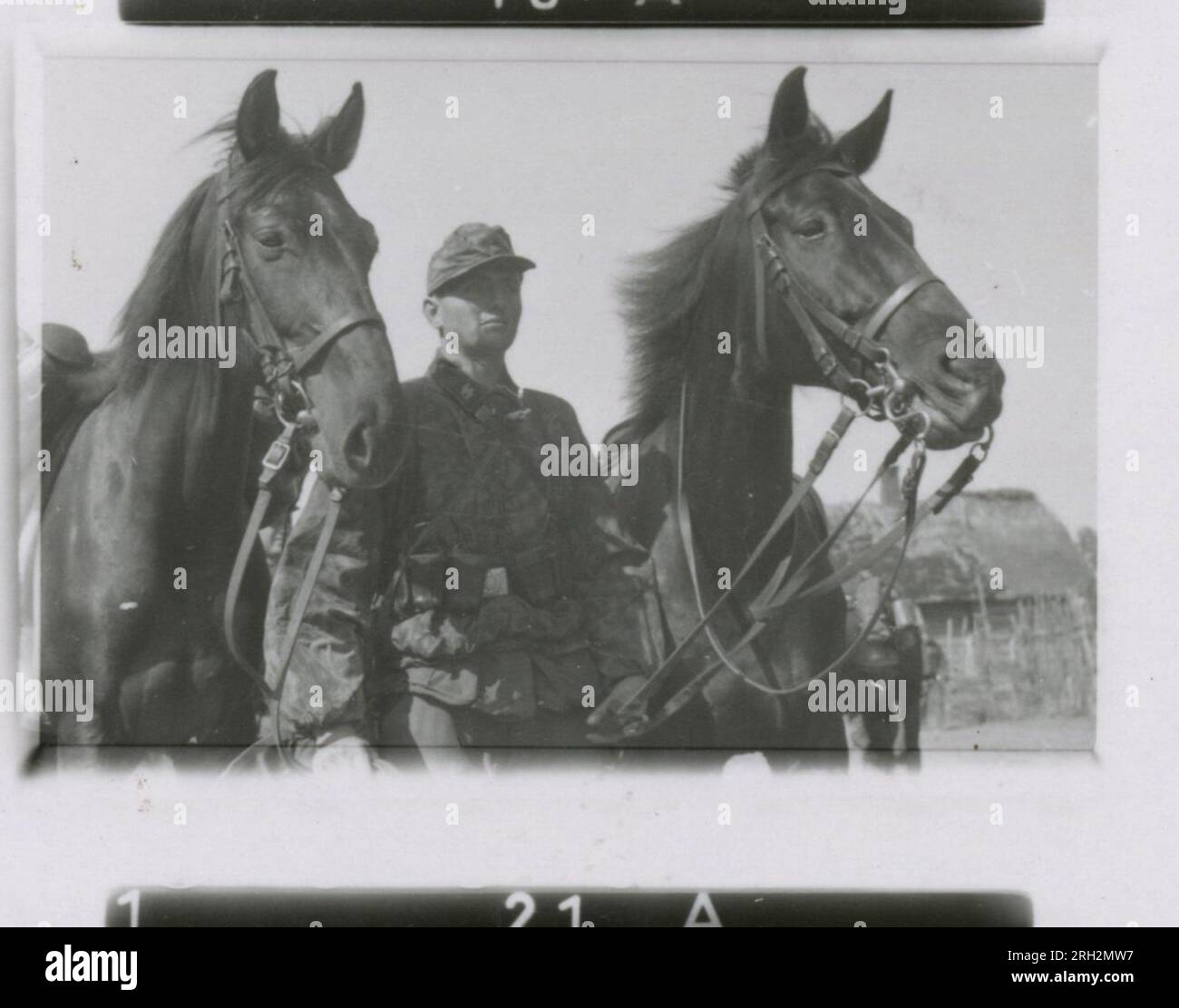 SS Photographer, Fritsch, Romania, Kavallerie, Russia 1943-44 Romanian ...