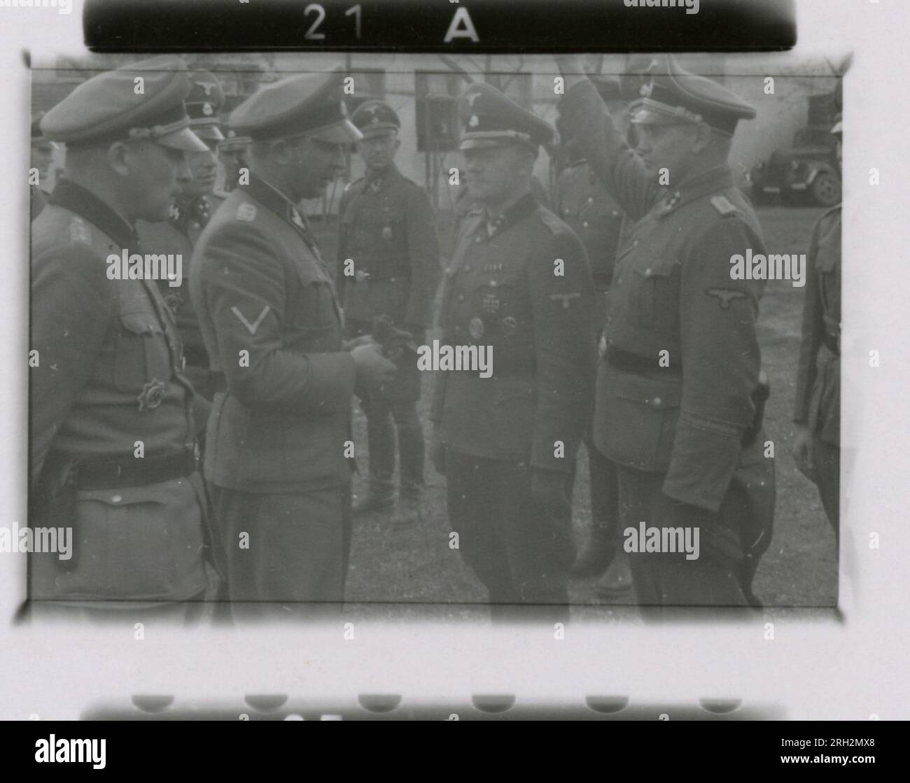 SS Photographer, Fritsch, Romania, Kavallerie, Russia 1943-44 Romanian ...