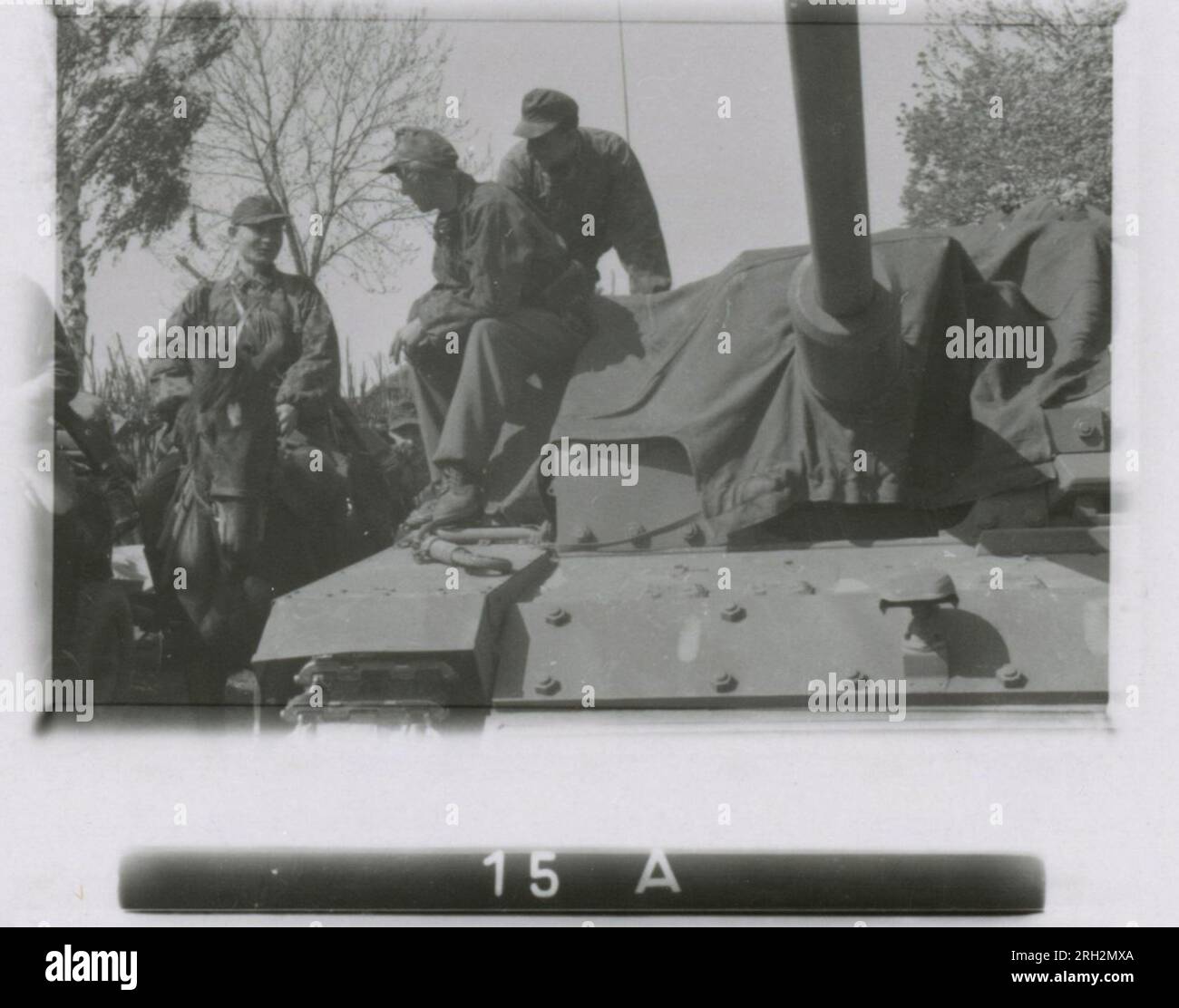 SS Photographer, Fritsch, Romania, Kavallerie, Russia 1943-44 Romanian ...