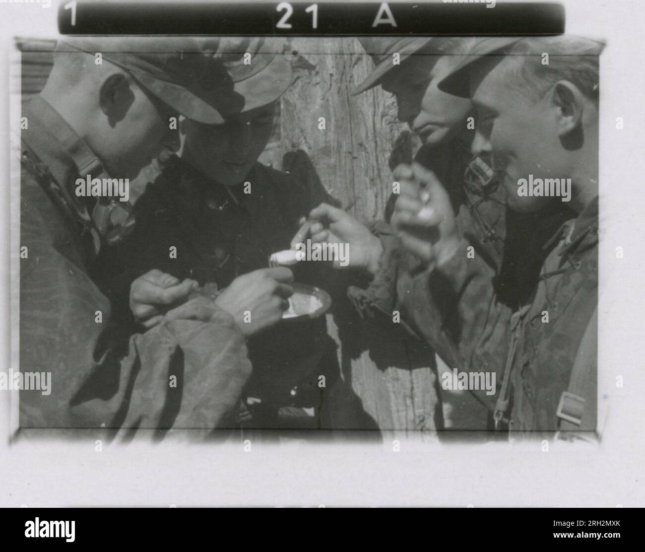 SS Photographer, Fritsch, Romania, Kavallerie, Russia 1943-44 Romanian ...