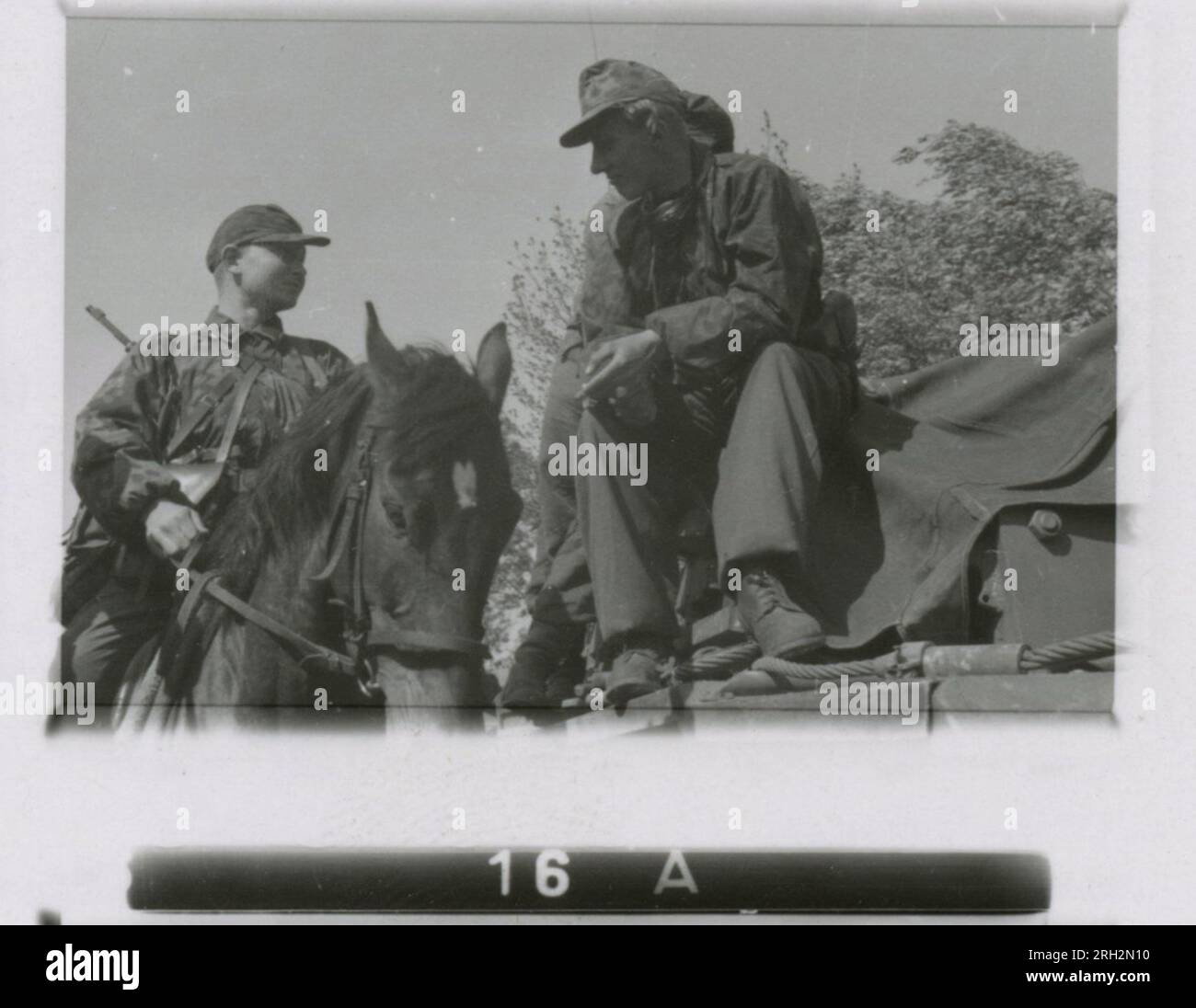 SS Photographer, Fritsch, Romania, Kavallerie, Russia 1943-44 Romanian ...