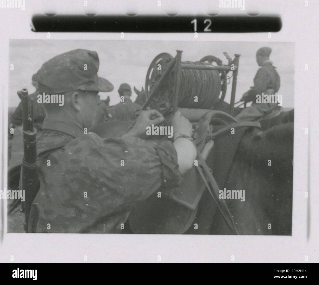 SS Photographer, Fritsch, Romania, Kavallerie, Russia 1943-44 Romanian ...