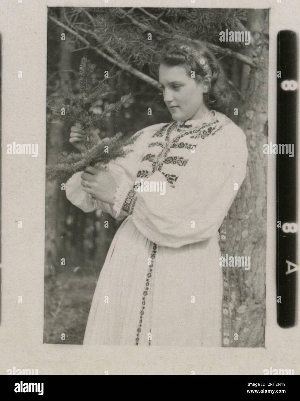 SS Photographer, Fritsch, Romania, Kavallerie, Russia 1943-44 Romanian ...