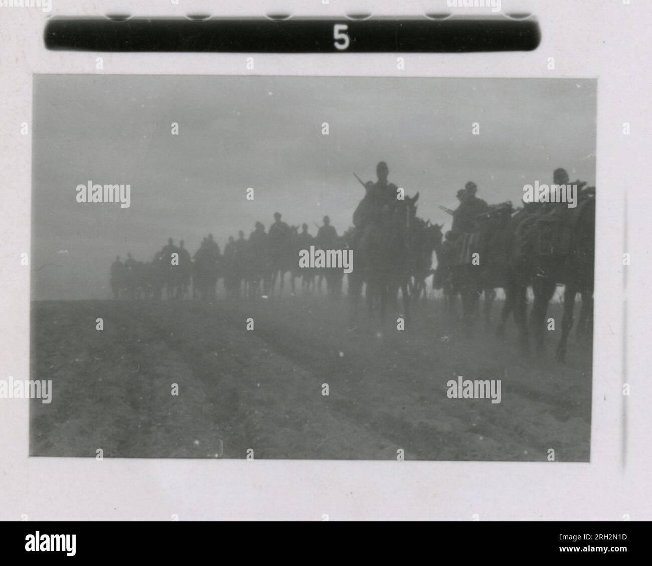 SS Photographer, Fritsch, Romania, Kavallerie, Russia 1943-44 Romanian ...