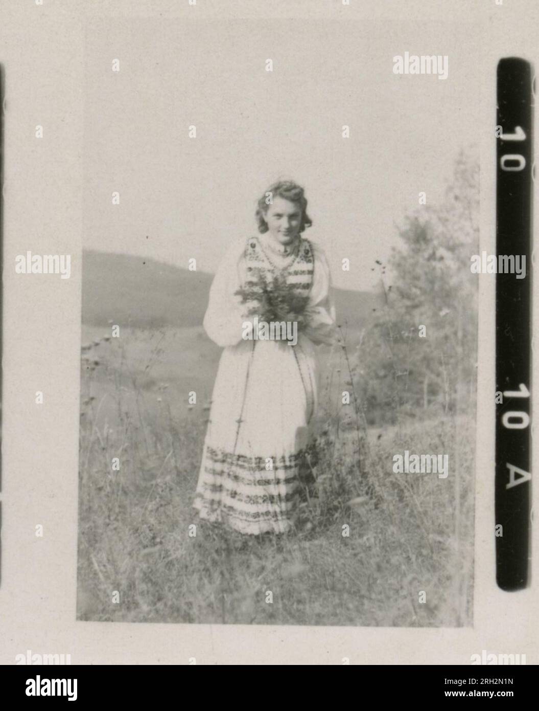 SS Photographer, Fritsch, Romania, Kavallerie, Russia 1943-44 Romanian ...