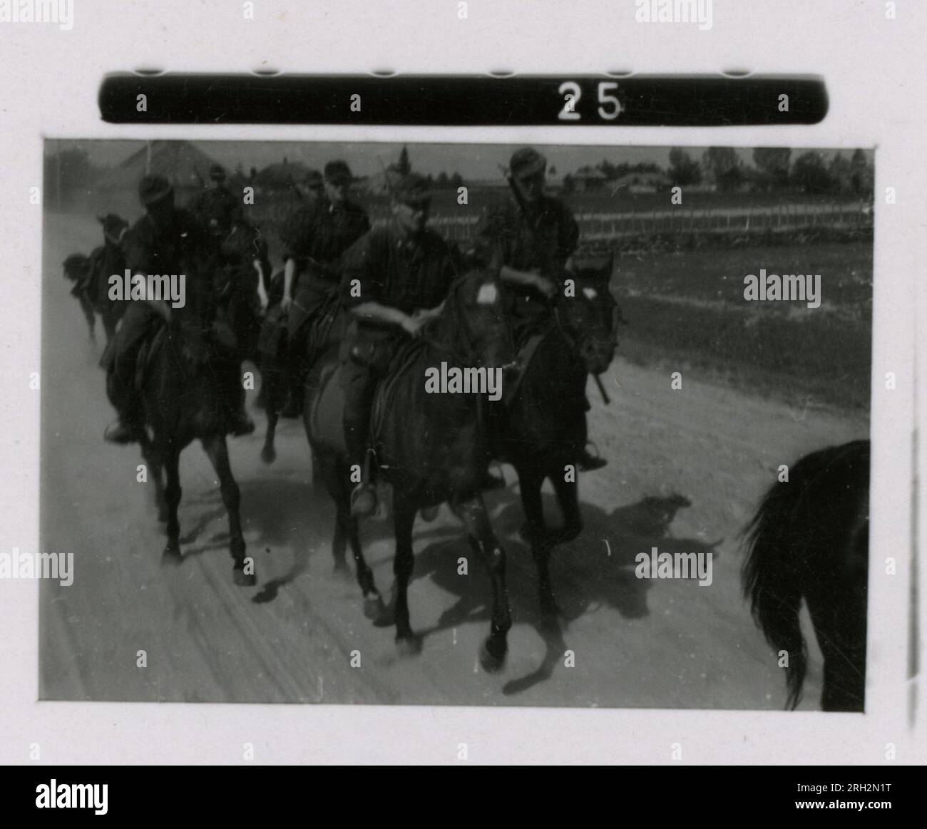 SS Photographer, Fritsch, Romania, Kavallerie, Russia 1943-44 Romanian ...