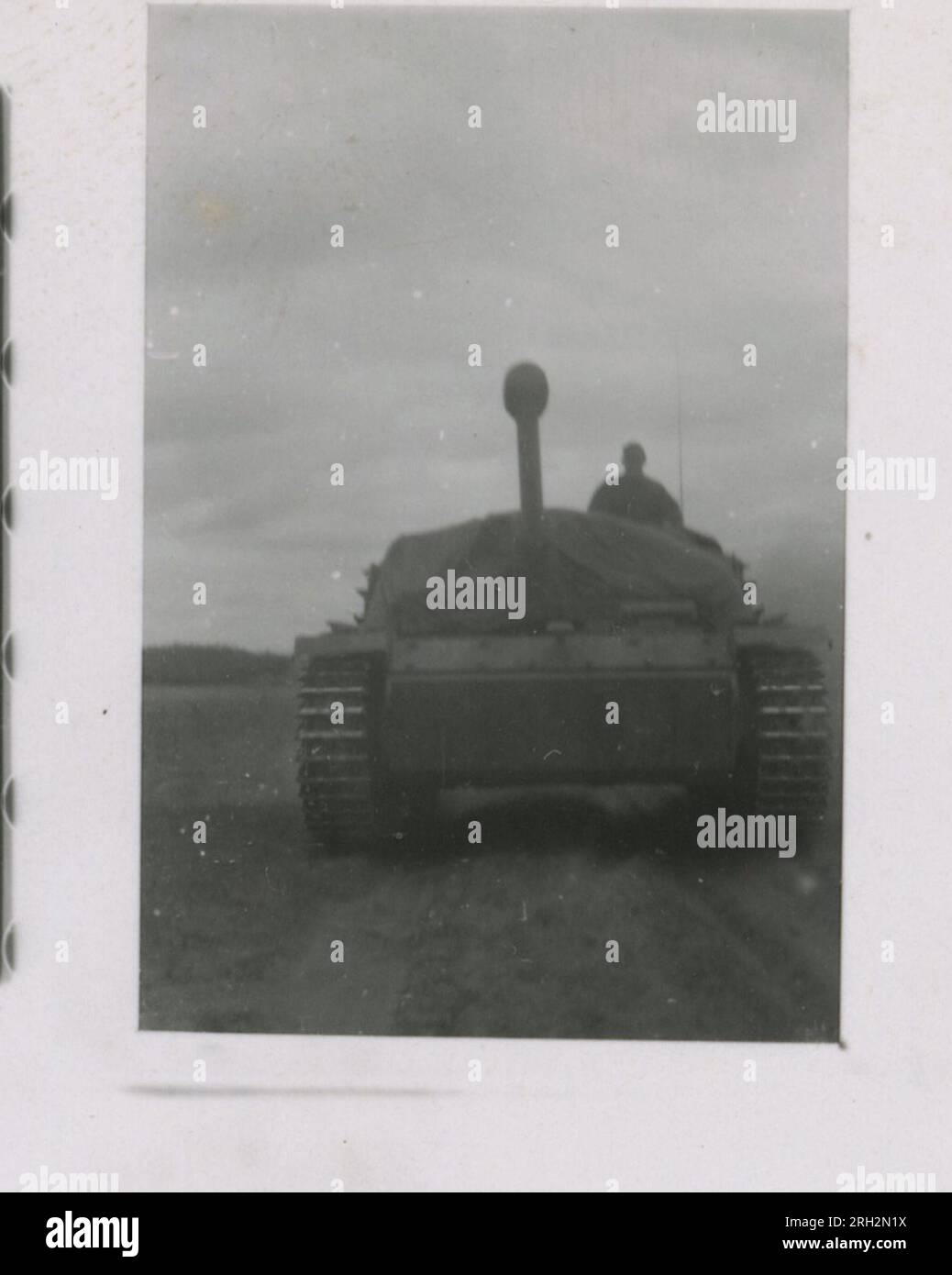 SS Photographer, Fritsch, Romania, Kavallerie, Russia 1943-44 Romanian ...