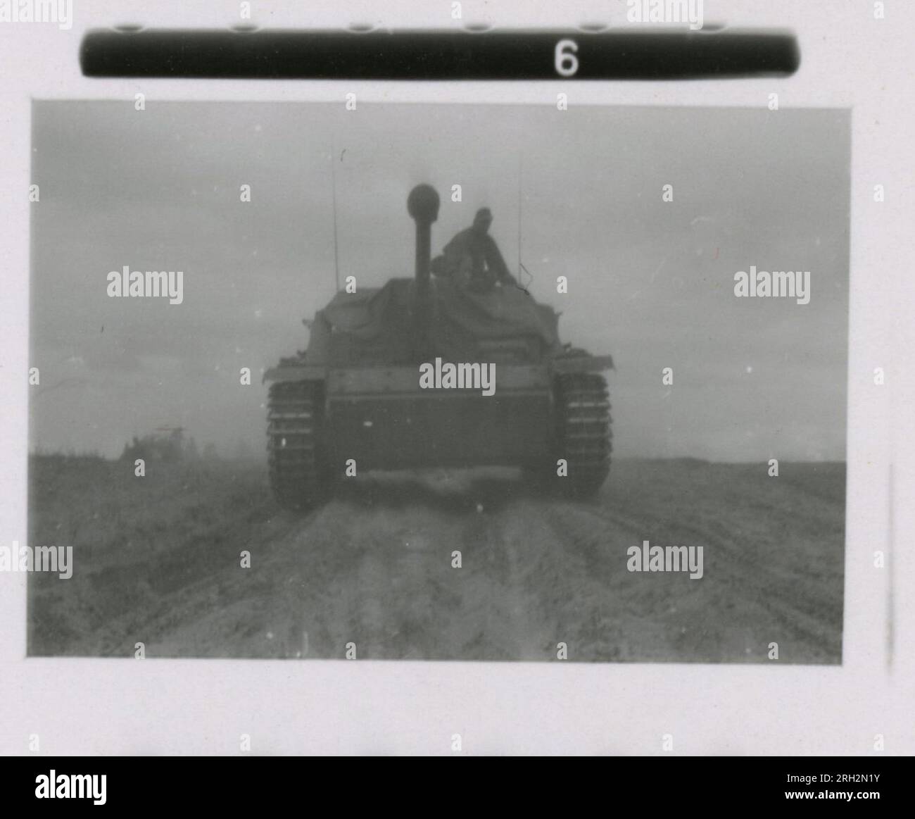 SS Photographer, Fritsch, Romania, Kavallerie, Russia 1943-44 Romanian ...