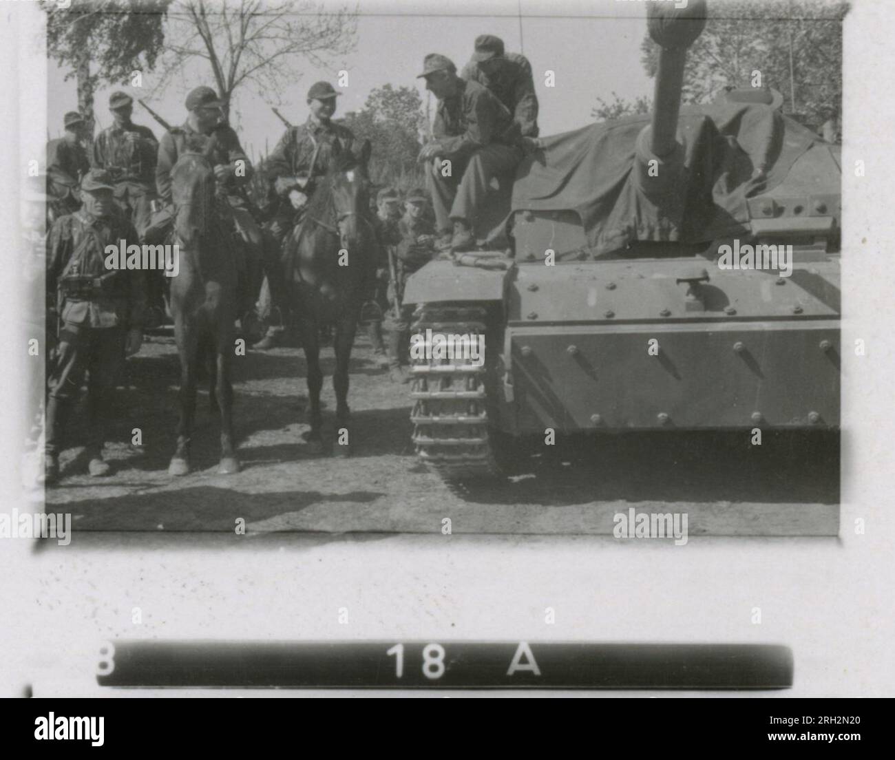 SS Photographer, Fritsch, Romania, Kavallerie, Russia 1943-44 Romanian ...