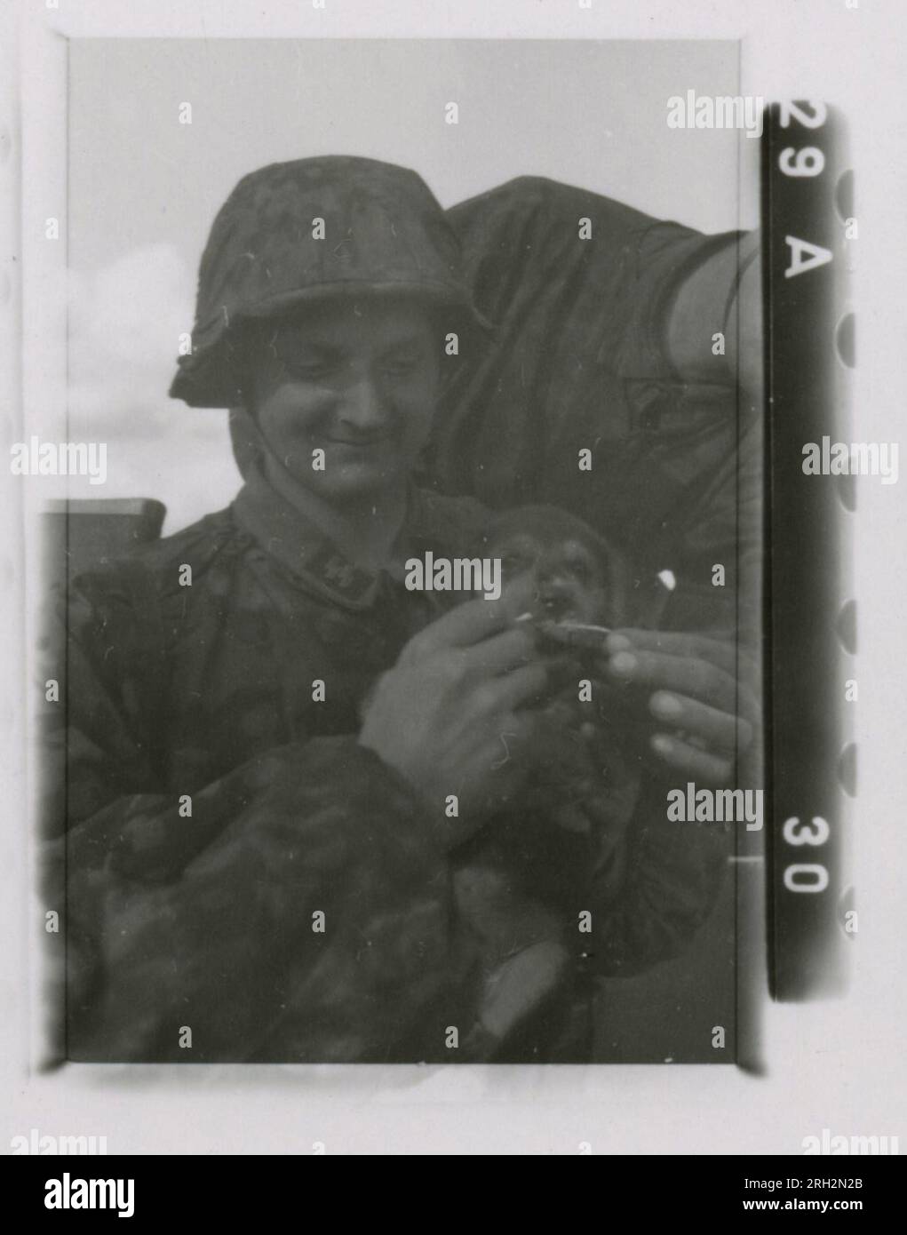 SS Photographer, Fritsch, Romania, Kavallerie, Russia 1943-44 Romanian ...