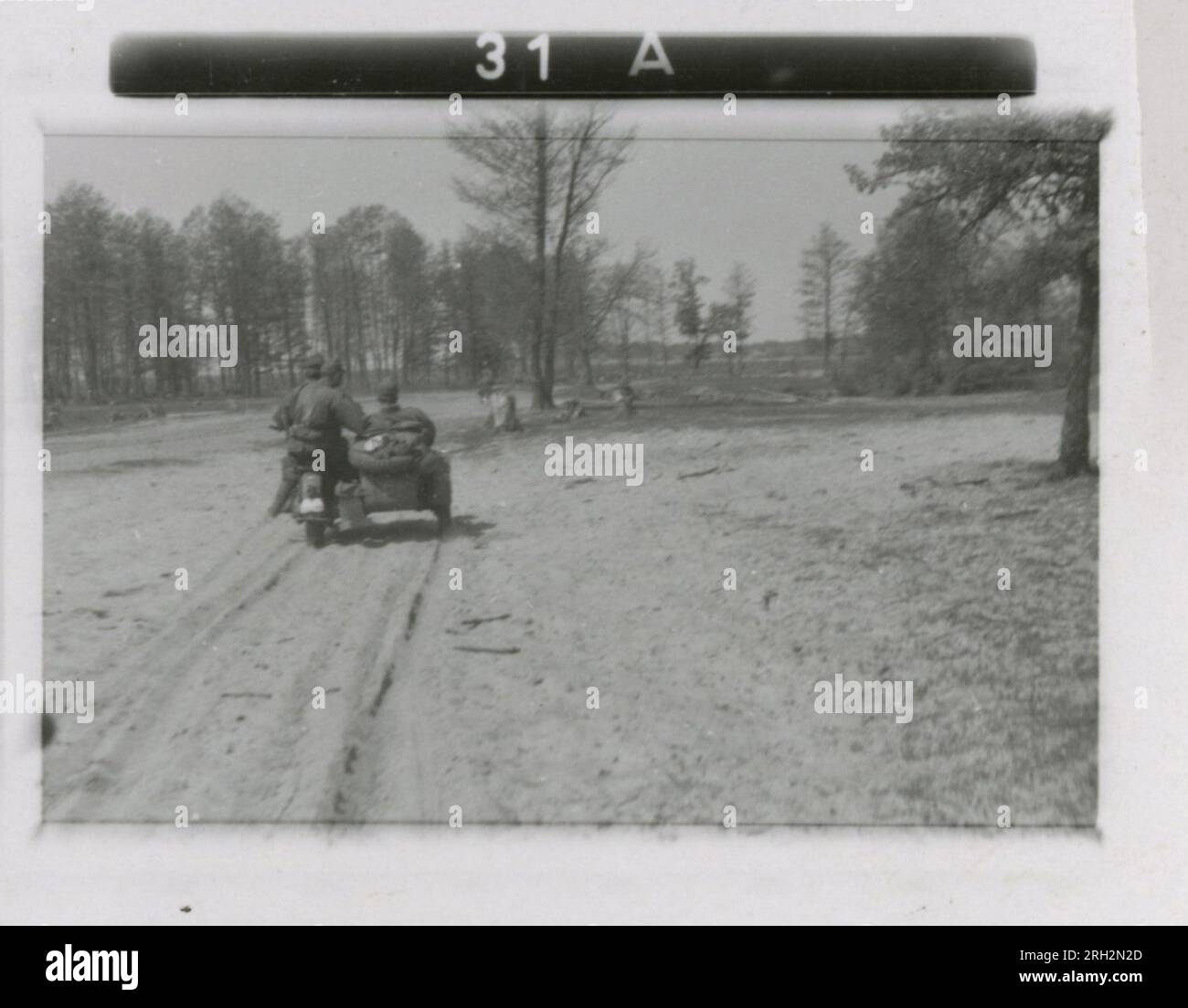 SS Photographer, Fritsch, Romania, Kavallerie, Russia 1943-44 Romanian ...