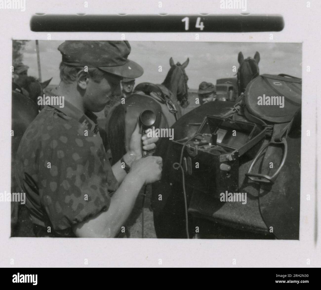 SS Photographer, Fritsch, Romania, Kavallerie, Russia 1943-44 Romanian ...