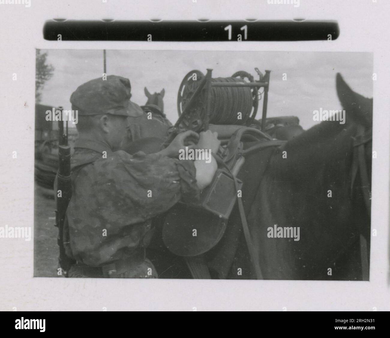 SS Photographer, Fritsch, Romania, Kavallerie, Russia 1943-44 Romanian ...